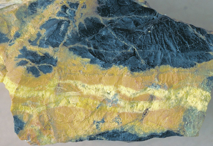 Our Solutions for the Nuclear Industry | SETSAFE